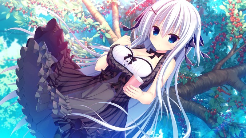 【GAL/中文/madosoft社】树莓立方体 更新手机版【PC+TY】 | 缘之空